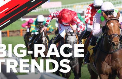 Big-race trends: what does it take to be successful in the Triumph ...