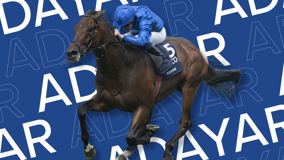 Adayar the hot favourite and hoping to springboard to King George - but ...