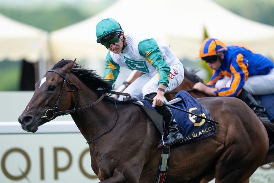 Dual Royal Ascot heroine Porta Fortuna being geared up for big duel ...