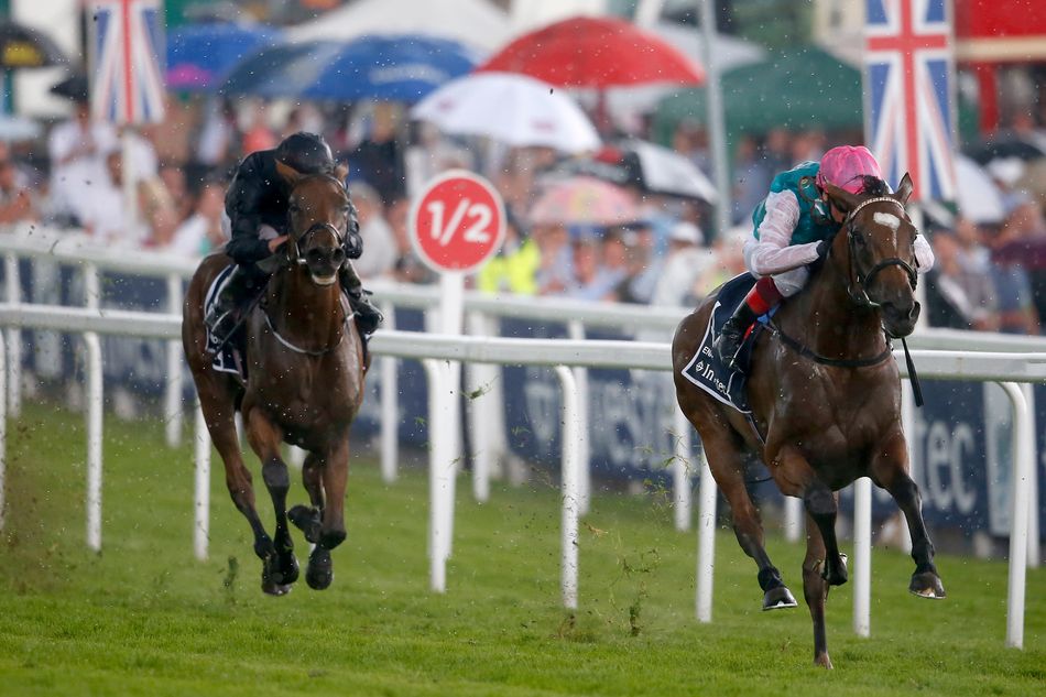 Delving into the Derby field via a close-up look at the matriarchs ...