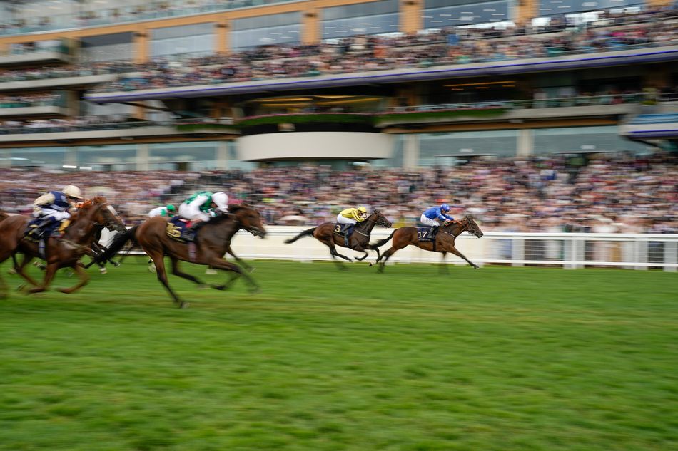 Snellen provides owner-breeder joy for Expert Eye in Chesham | Racing Post