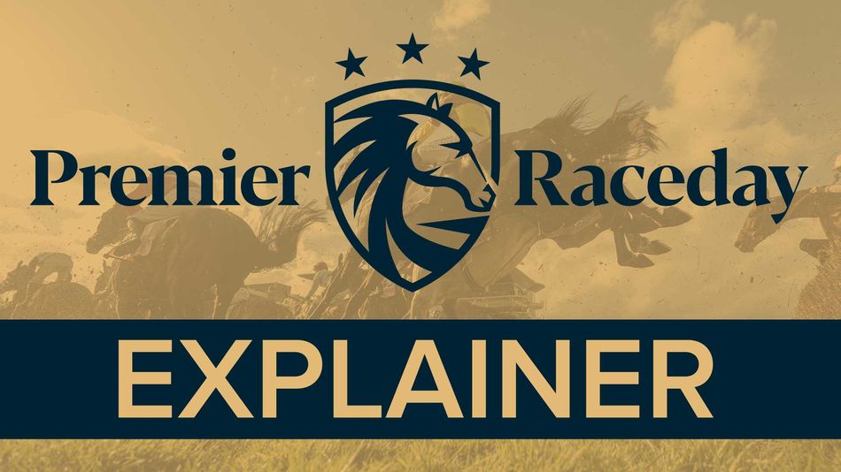 Premier racing begins on New Year's Day at Cheltenham - here's ...