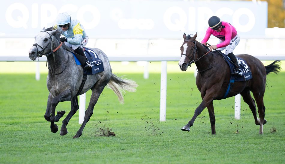 Charyn and Kyrpios in pole position for Cartier awards after Champions ...