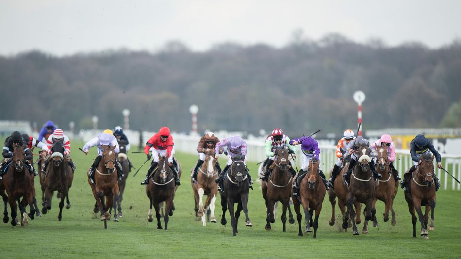 Who will hit the ground running in the British Flat turf season? Three ...