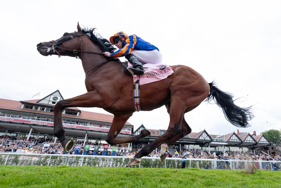 Constitution River overcomes wide draw to lead home amazing Ballydoyle ...