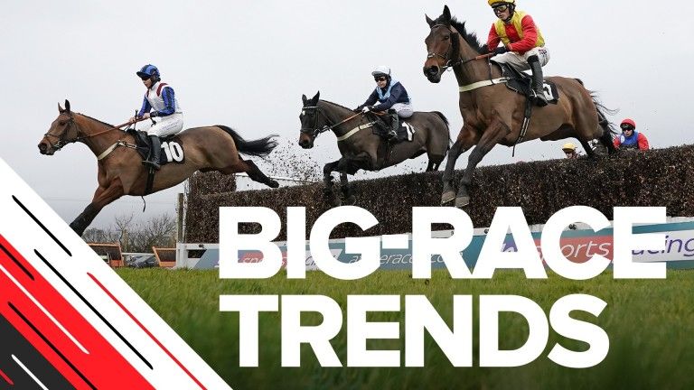 Big-race trends: old stalwarts favoured over potential improvers in ...