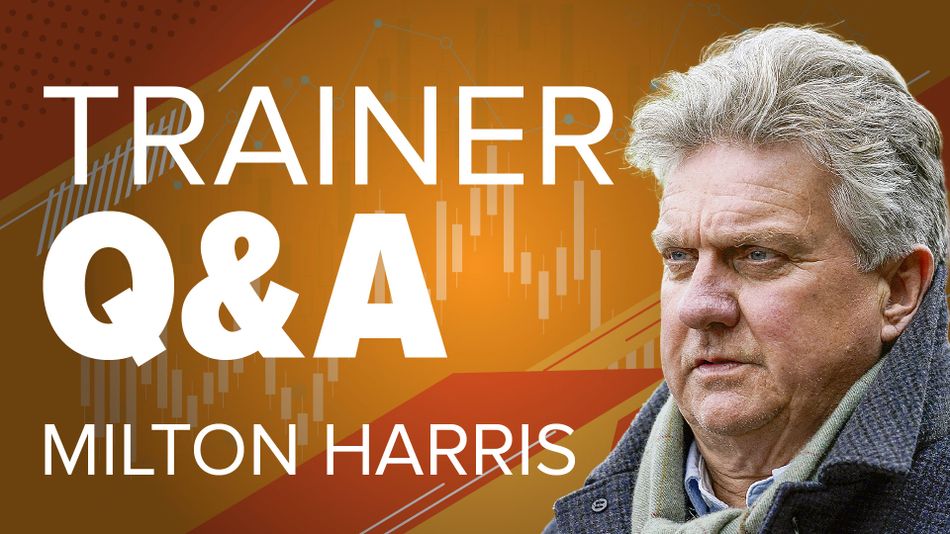 Trainer Q&A: 'I've been backing my horses at prices I couldn't believe ...
