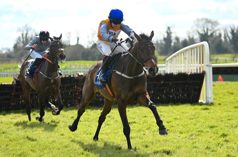 Captain Cody to be aimed at the Cheltenham Festival in honour of ...