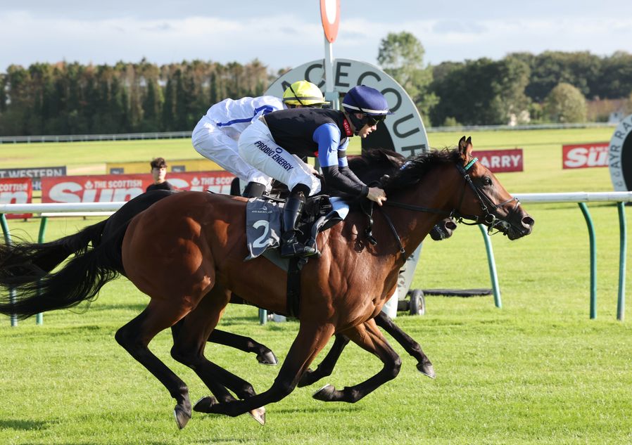 'We're pinching ourselves' - owners Pompey Ventures continue brilliant ...