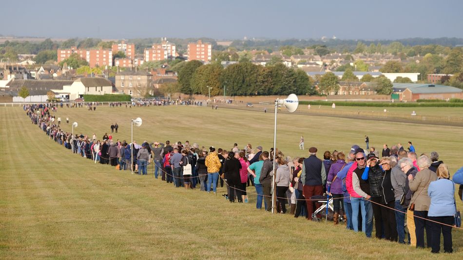 Group 1 winners, Shetland ponies and more on show as Newmarket stables ...