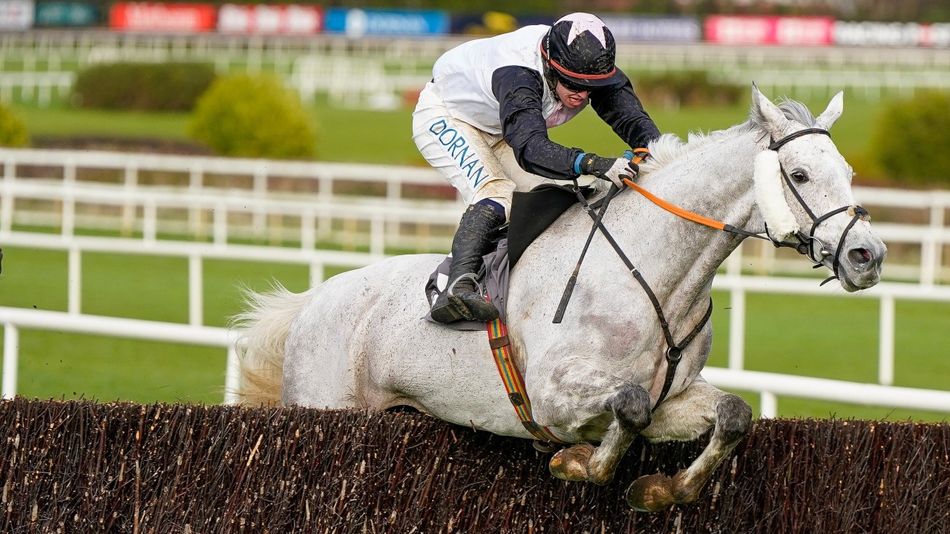 'All he does is gallop and jump, so I'm really looking forward to going ...