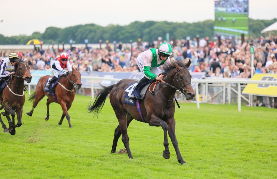 Starlust shines in Royal Ascot prep as part of 2,249-1 across-the-cards ...