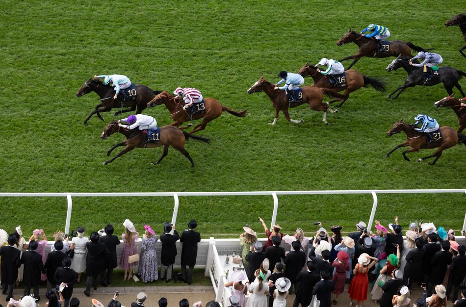 Ground stays good to firm at Ascot for Gold Cup day - and no rain now ...