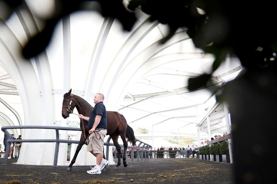 'Stepping out of the shadow of her mum' - Debbie Kepitis reveals the ...