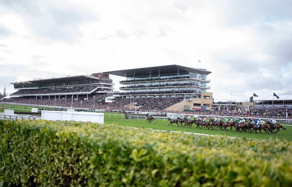 Title rivals clash on Cheltenham's Wednesday card as Paul Nicholls and ...