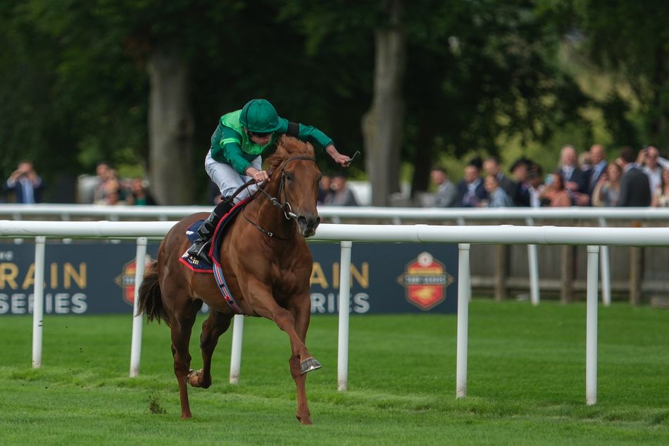 Whistlejacket to headline strong juvenile squad as Aidan O'Brien ...