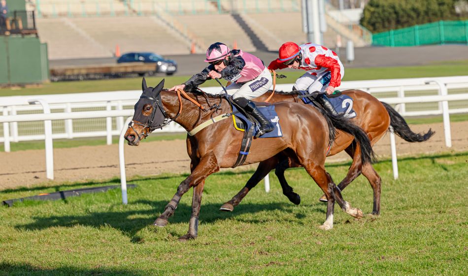'He ran a really nice race' - Sanilam beats the 8-11 favourite to land ...