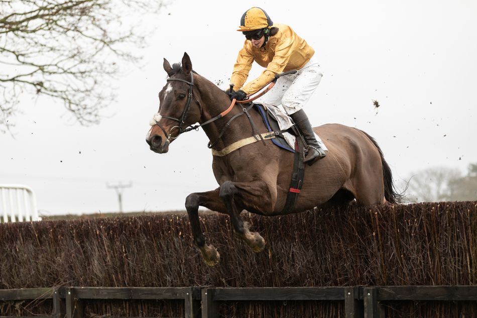Delight for Richard Johnson as 17-year-old daughter Willow wins on ...