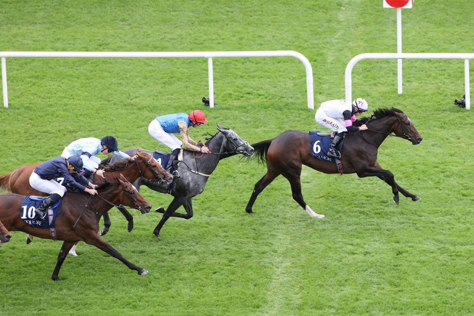 'She's got a great chance' – Fallen Angel leads strong raiding party ...