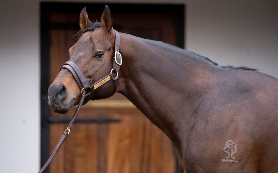 'He’s worth it, every penny of it' - Zoustar valued at A$78m after ...