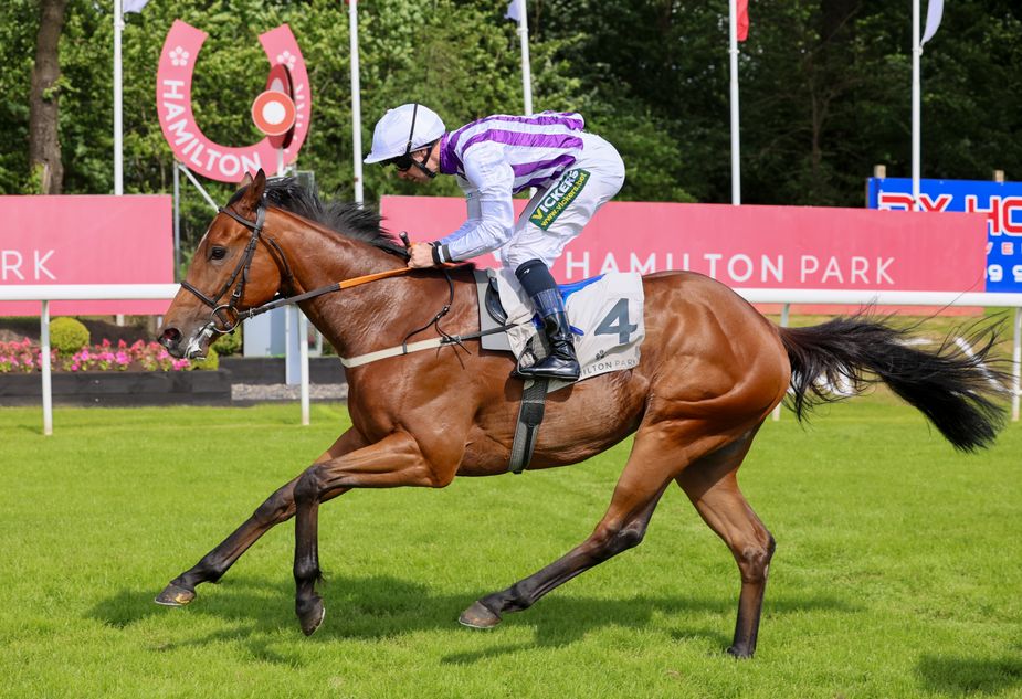 'He’s improved out of all recognition' - Good Morning Alex racks up ...