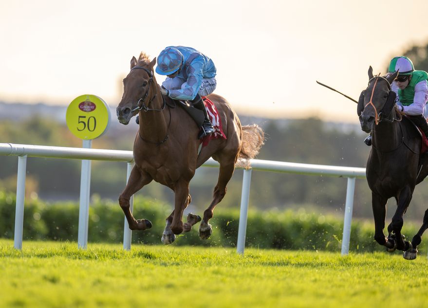 Thunder Roll breaks her maiden tag as she fends off rivals in resolute ...