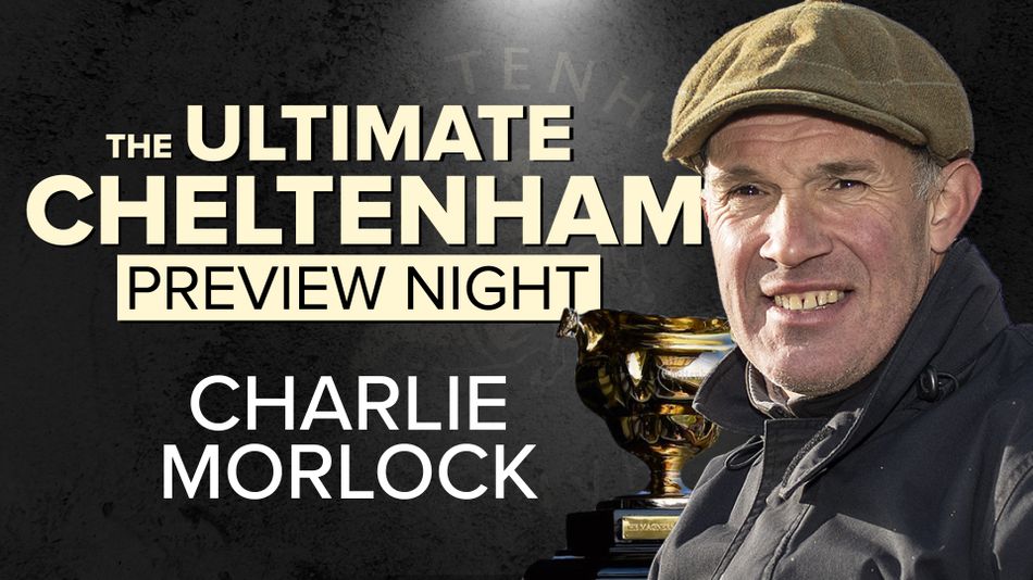 Charlie Morlock: 'I've seen some nice horses in 20-odd years with Nicky ...