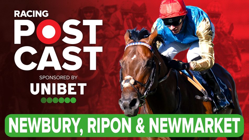 Racing Postcast: Newbury, Newmarket and Ripon preview and tipping show | Racing Post