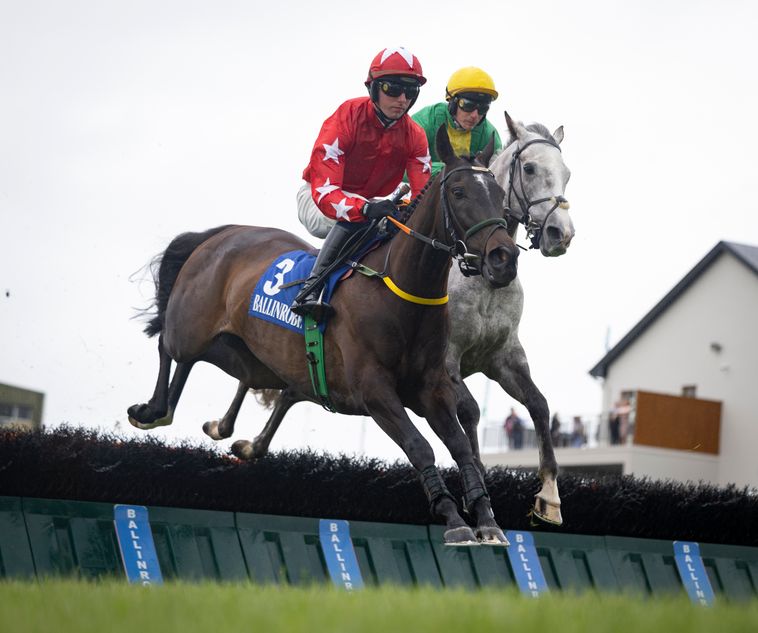 'It's still in the melting pot' - Noel Meade mulling choice of Galway ...