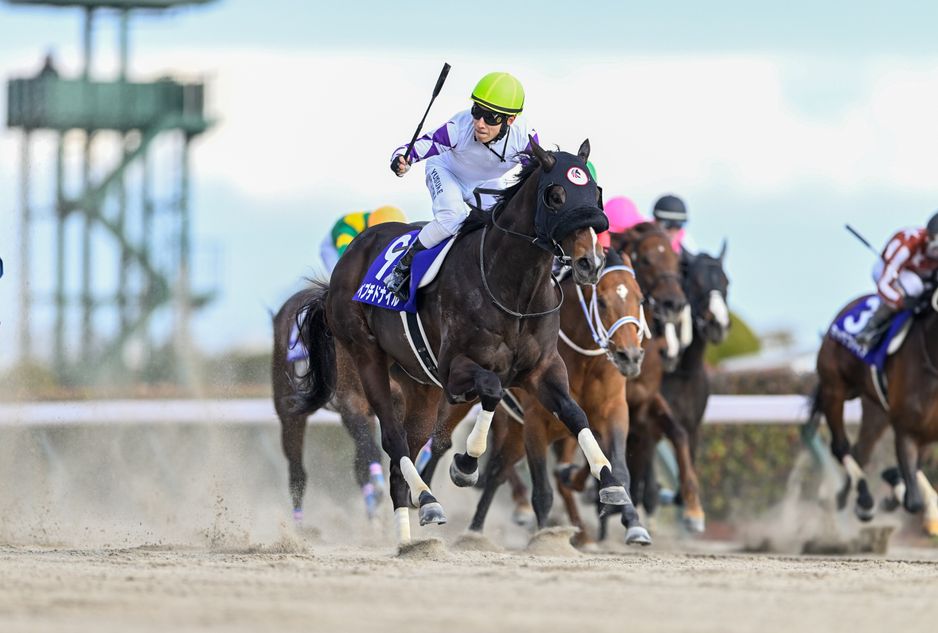 'My horse did a great job' - Nile proves the jewel in the February ...