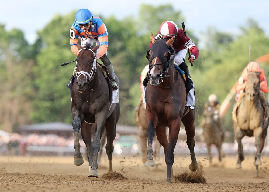 'Fast Grade 1 winners with tremendous physicals, pedigree, and sire ...