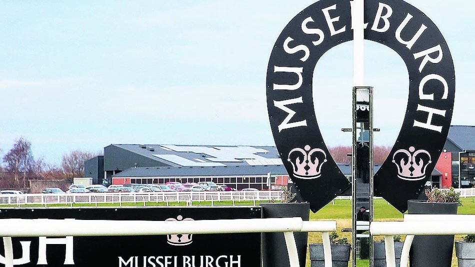 'It's not something easy to replace - it's very frustrating' - fence at ...