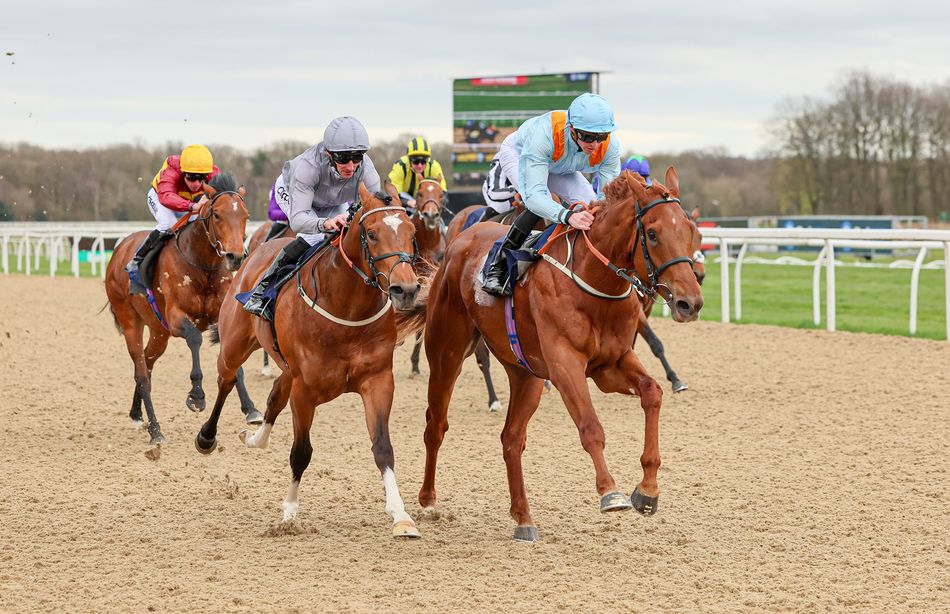 'They do exactly what they say on the tin' - Dear My Friend maintaining ...