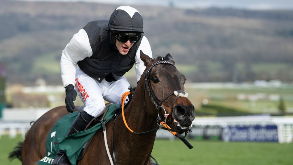 'We're going to give it a go' - dual Stayers' Hurdle winner Flooring ...