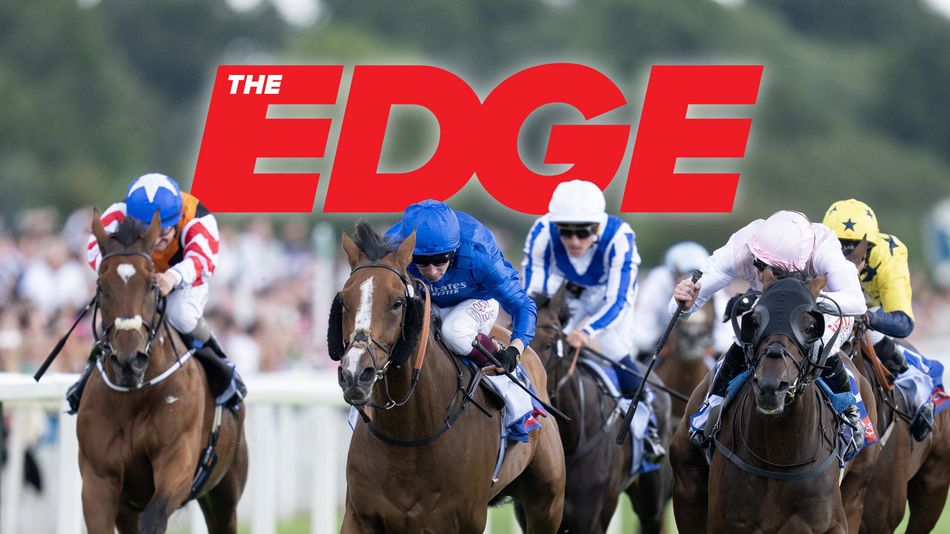 Two eyecatchers in one race and all the other vital angles on Yorkshire ...
