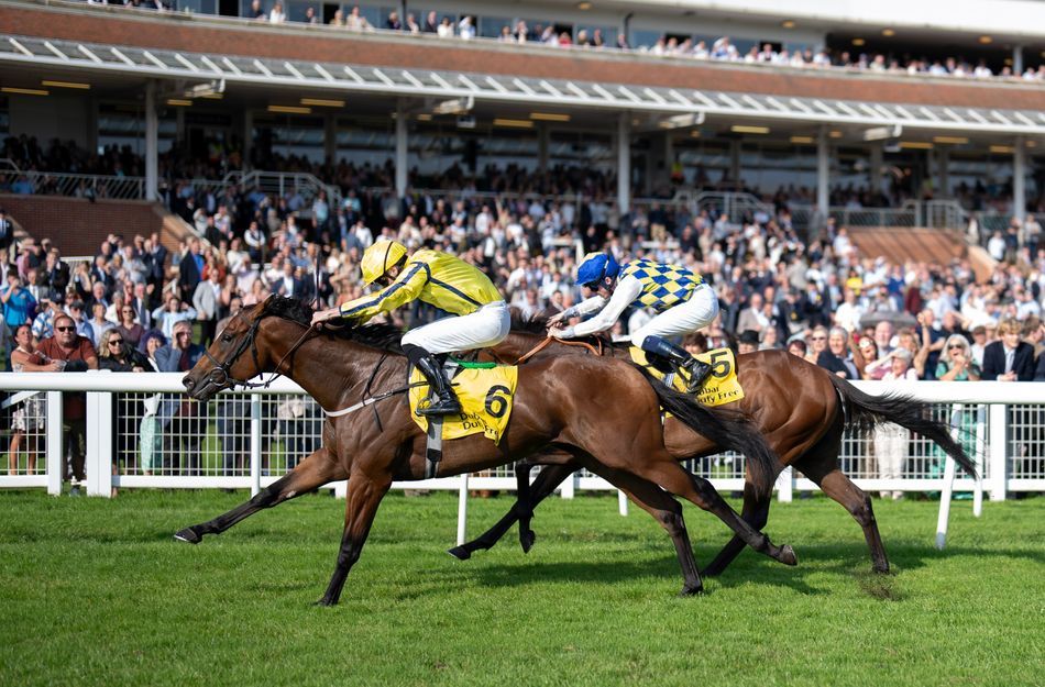 'It was only his ability that got him home' - Powerful Glory toughs it ...