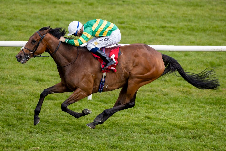 Bokep live ometv great moment with a hard to find UTR woman.