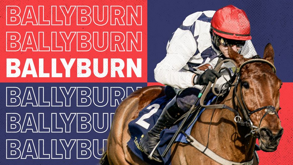 Ballyburn long odds-on to confirm superstar status in Grade 1 Champion ...