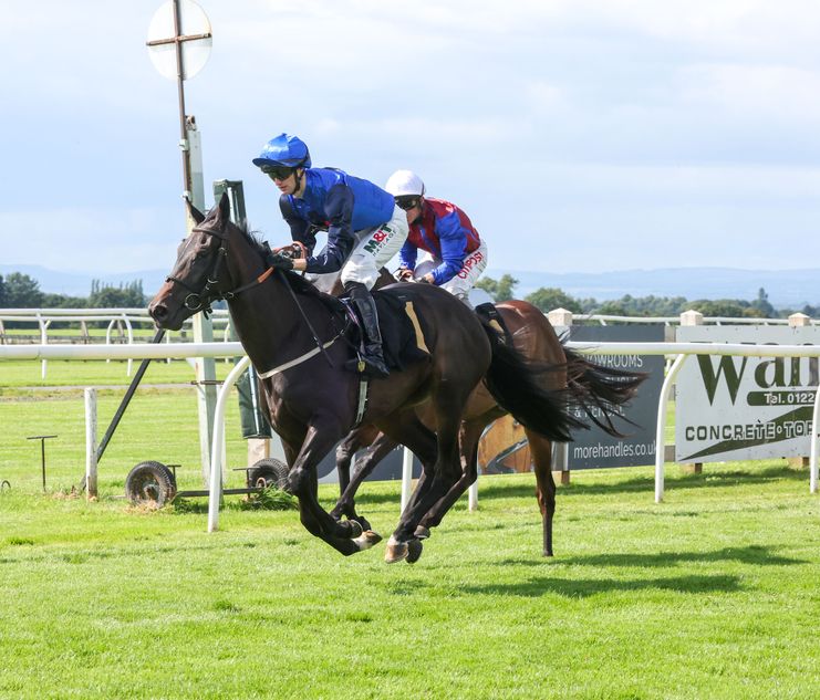 'It’s about trying to get the right ammunition' - Mark Walford up and ...