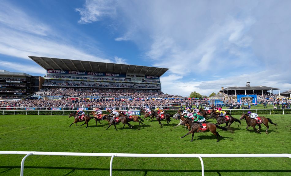 Coolmore outcast bought for just 8,000gns produces stunning 80-1 upset ...