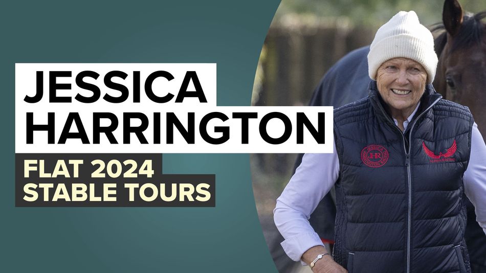 Jessica Harrington: 'She was second in a Group 1 last year - and it ...