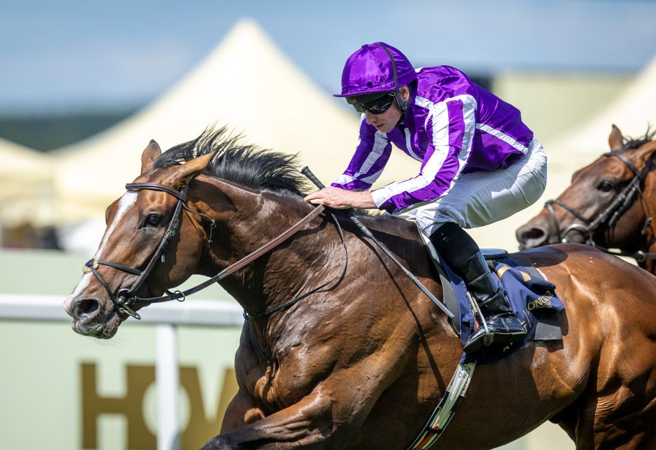 Highland bunny boobs small nipples but great to rub and