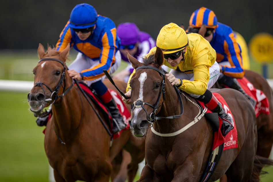 Can this Ger Lyons filly take another step forward and vanquish strong ...
