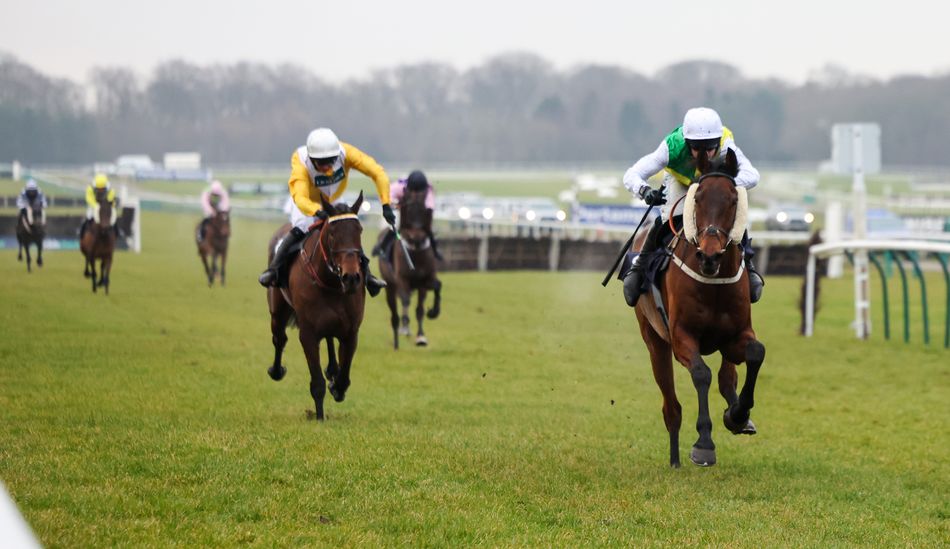 'Hopefully we'll get to Aintree next year' - Famous Bridge almost ...