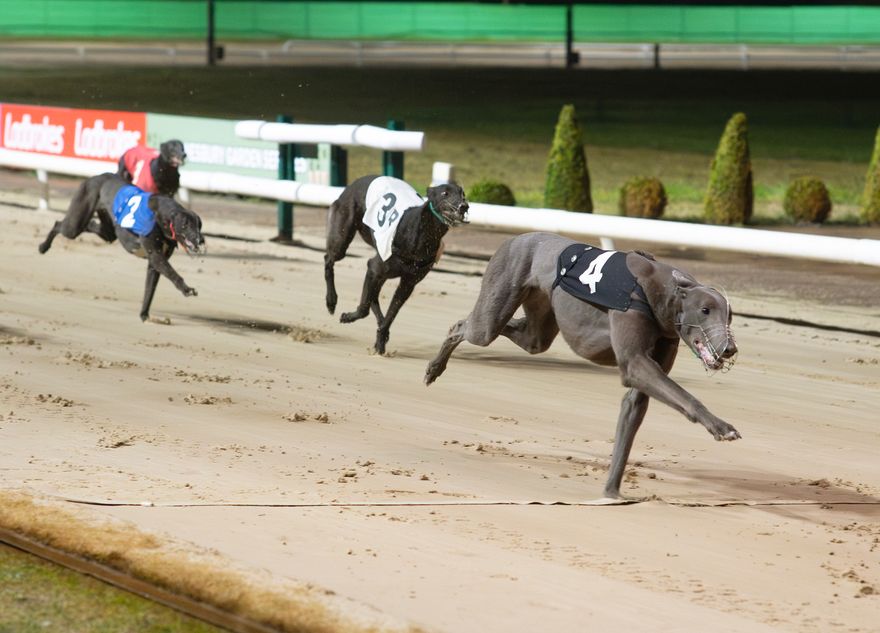 Santas is bidding to deliver a slice of big-race history | Racing Post