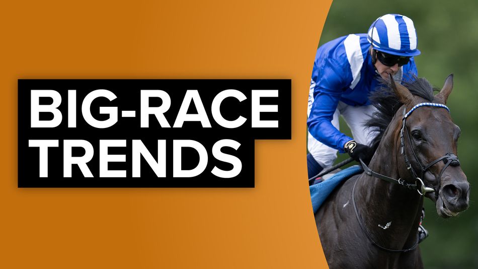 Big-race trends: key stats to help you find the winner of the King ...