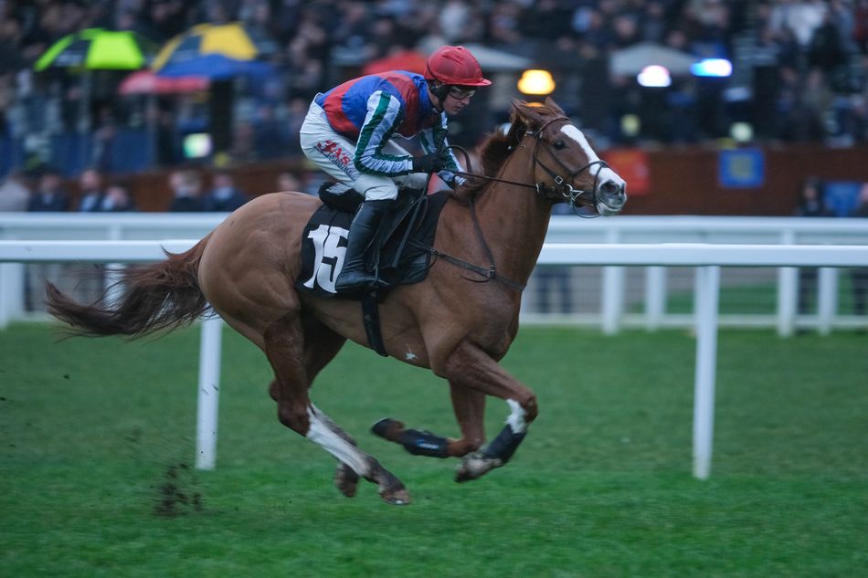 'We're not worried about the others' - the Champion Bumper hope ...