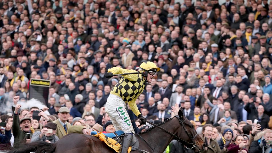 'It wouldn’t be the same without the Irish' - new reduced Cheltenham ...