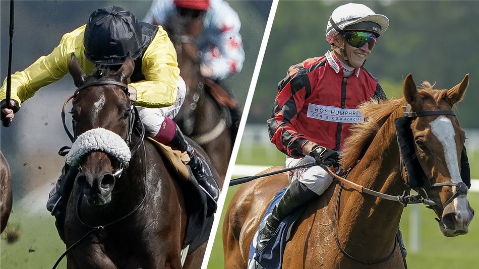 'He would have a favourite's chance if he ran' - analysis and key ...