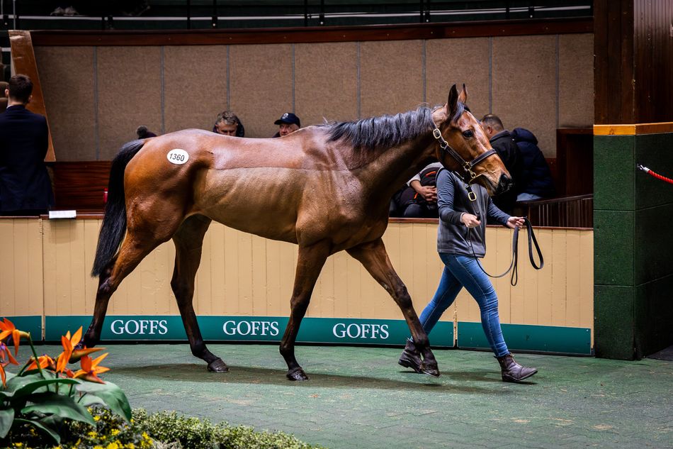 'Today was a rather sobering end to a big week' - Henry Beeby on a damp ...